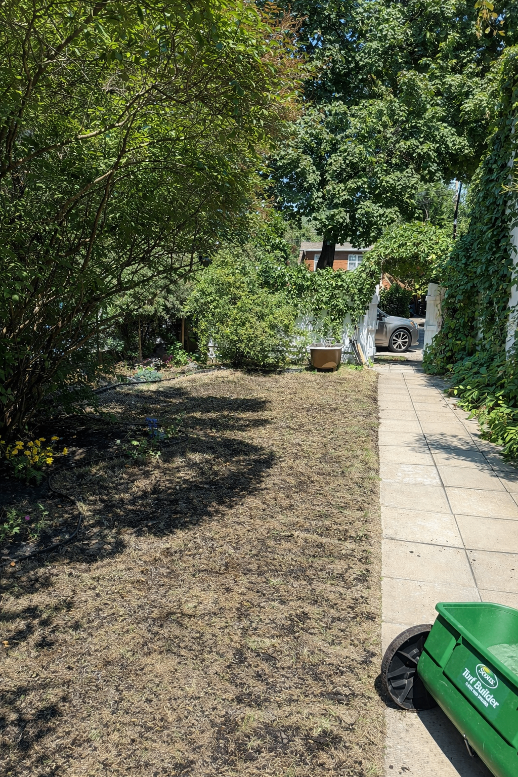 Terralux Landscape | Lawn Care & Outdoor Services